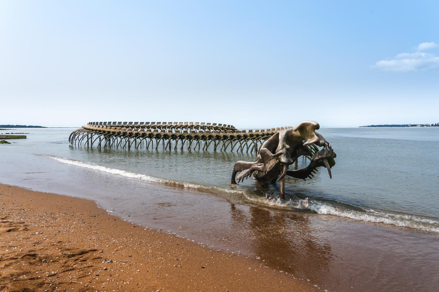 Sea Serpent Real Life