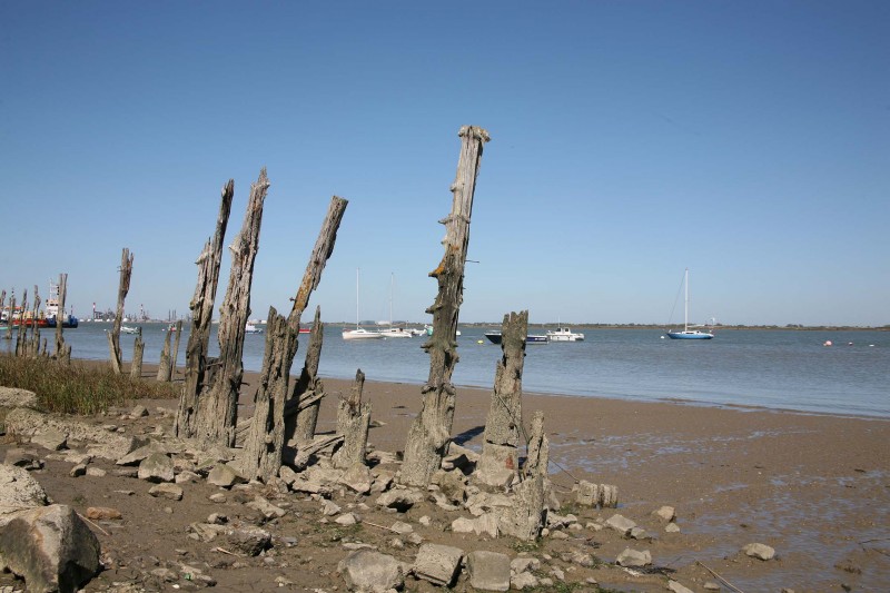 The Loire Estuary