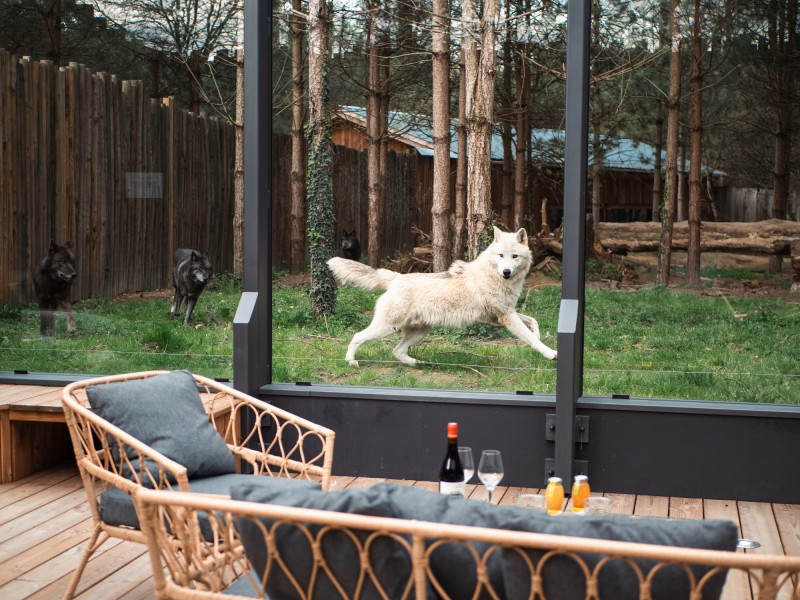 Lodges Legendia Parc-FROSSAY