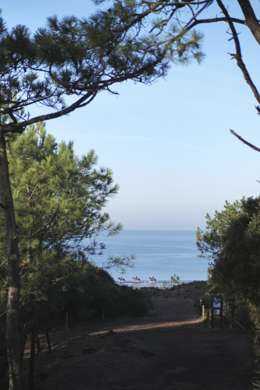 The Ermitage and Pierre Attelée Beaches
