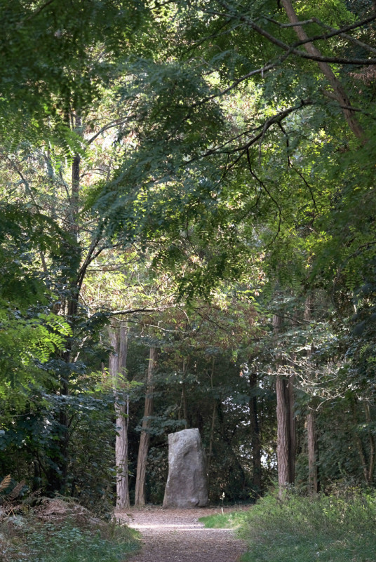 Forêt de la Pierre Attelée
